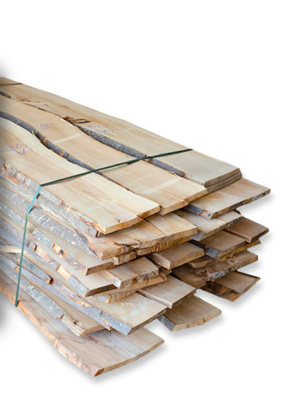 Cherestea uscata - Spectrum Center